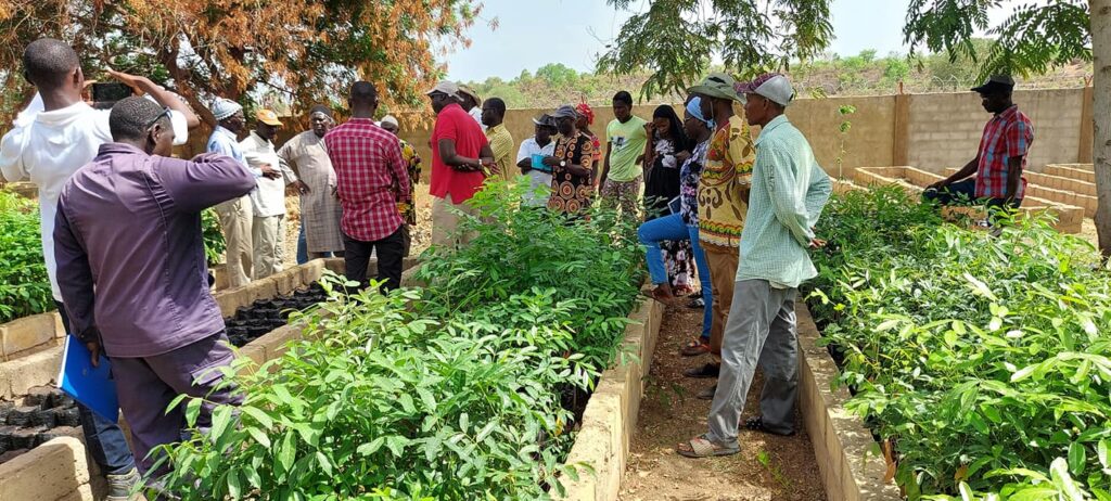 Large-scale Ecosystem-based Adaptation (EbA) Project – The Gambia ...